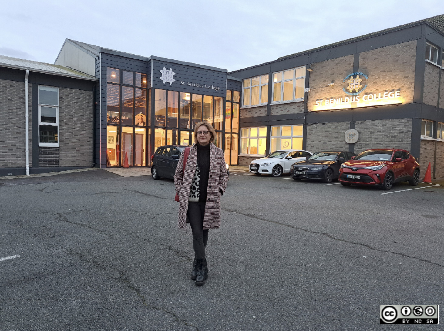 Estancia profesional en St. Benildus College en Dublín (Irlanda) - INTEF